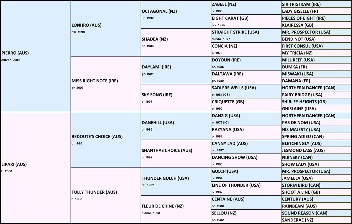 Pedigree – Magnum Park | Levendi