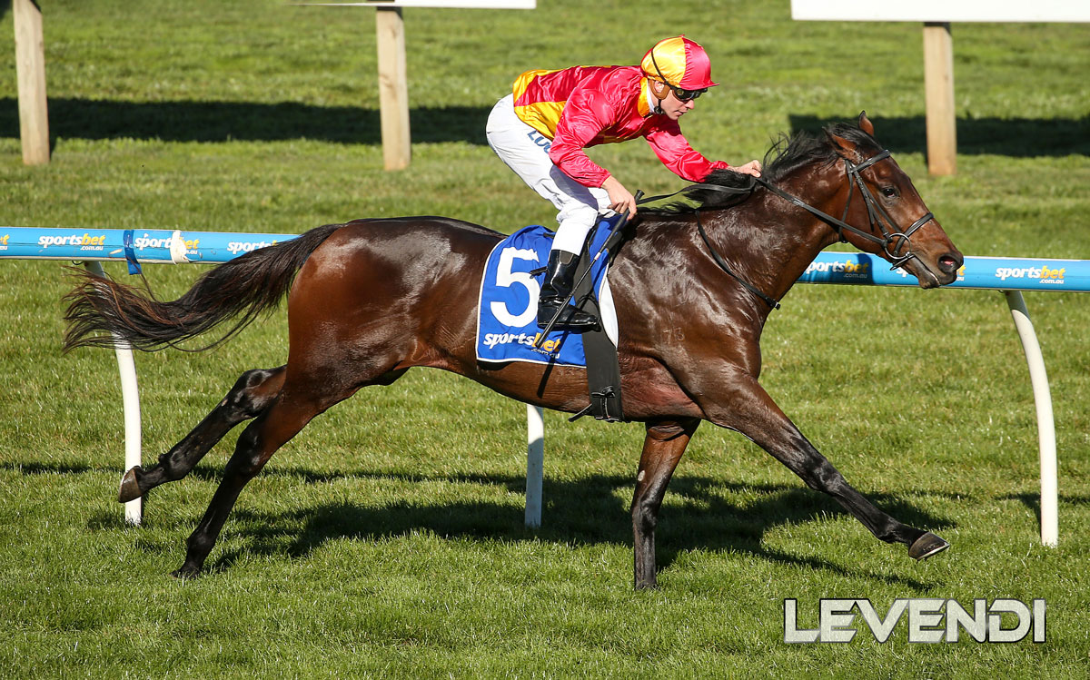 Gallery – Magnum Park | Levendi