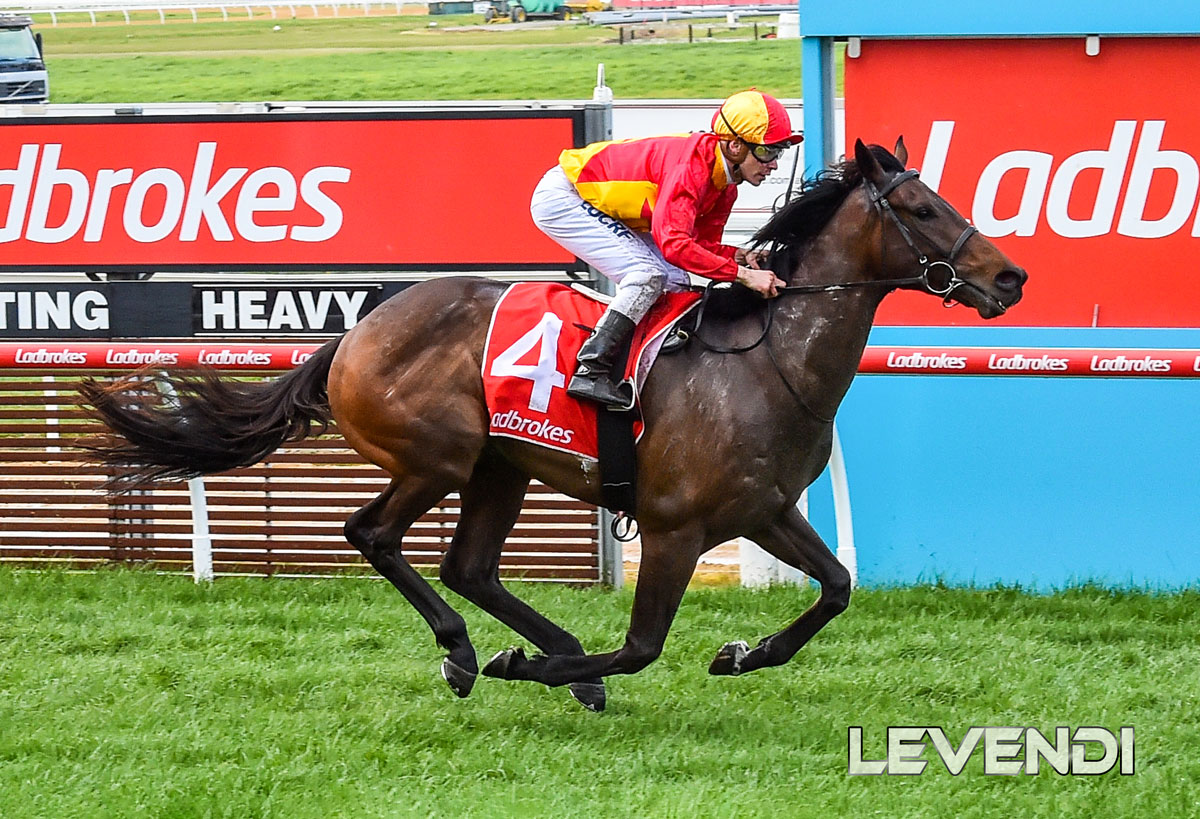 Gallery – Magnum Park | Levendi