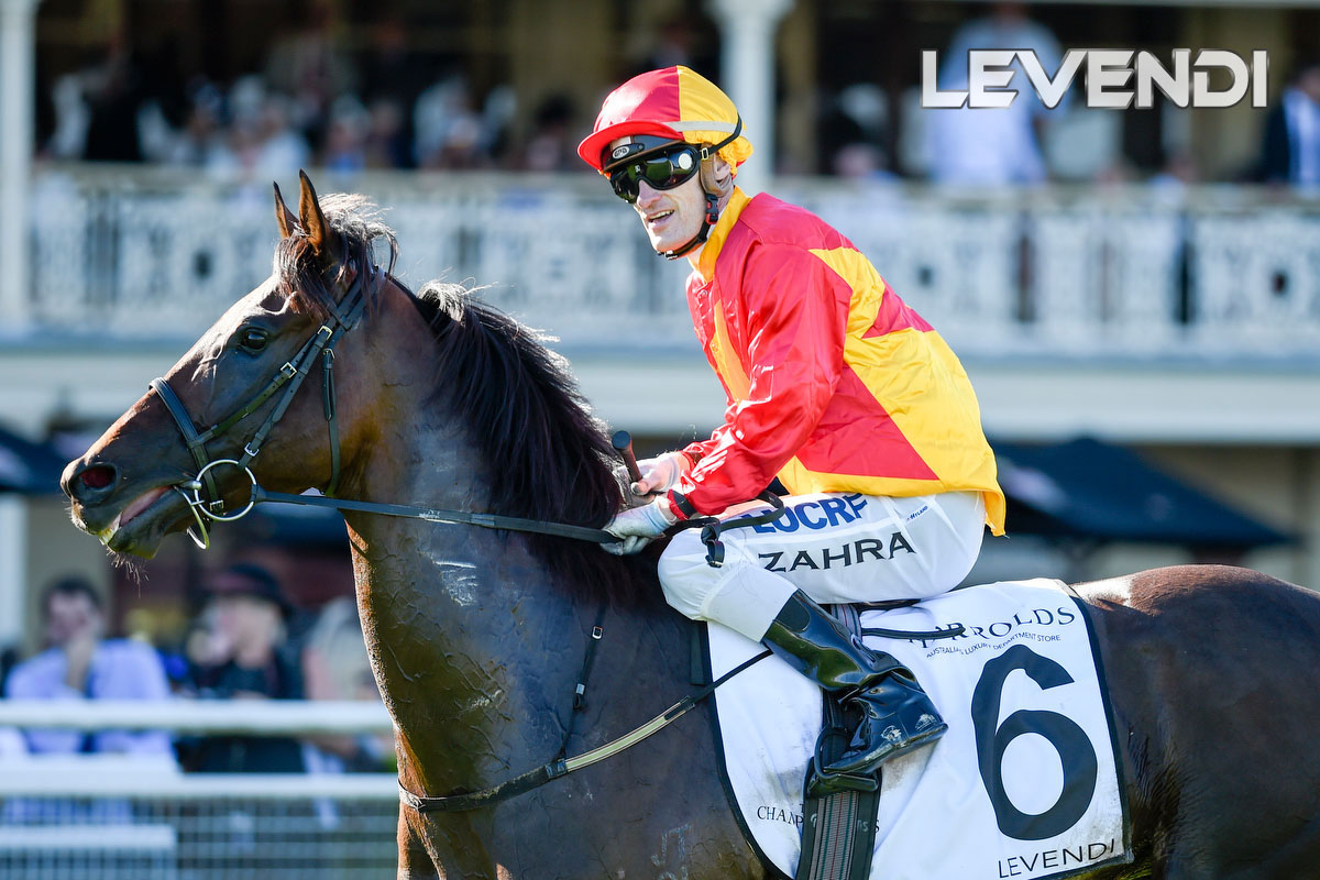 Gallery – Magnum Park | Levendi