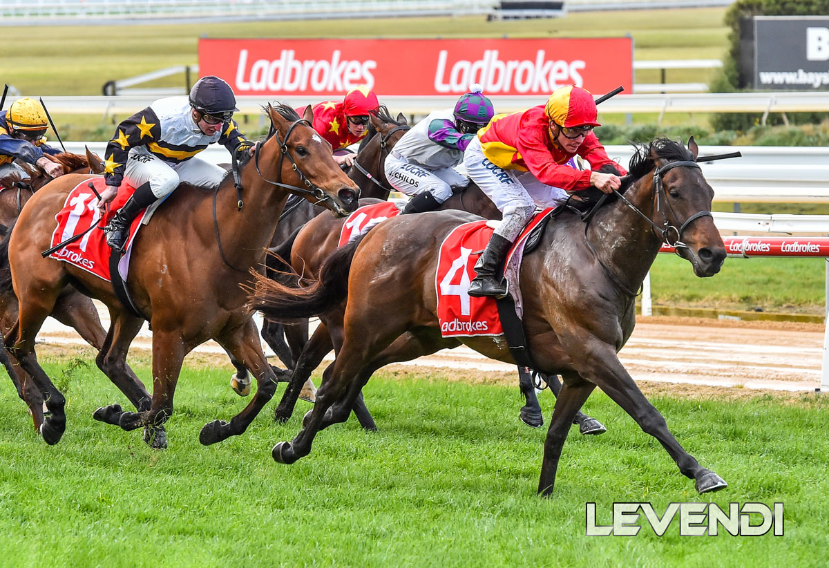 Gallery – Magnum Park | Levendi