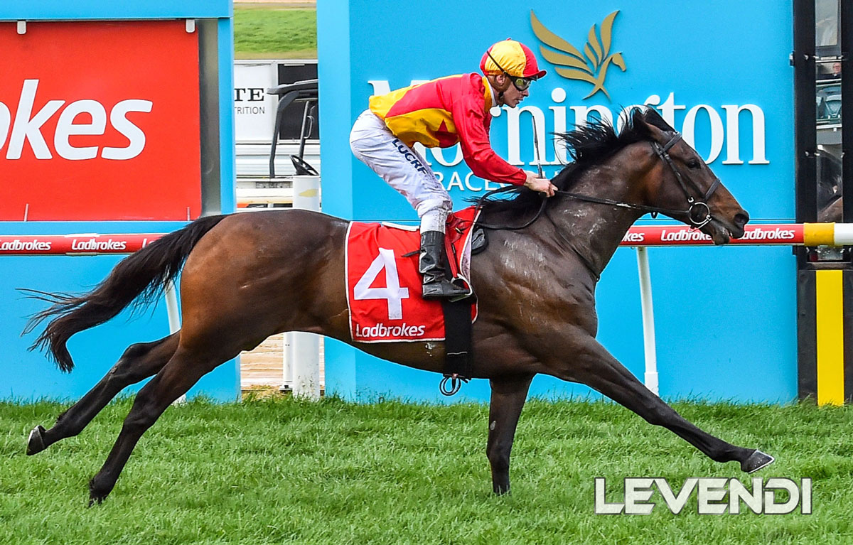 Gallery – Magnum Park | Levendi