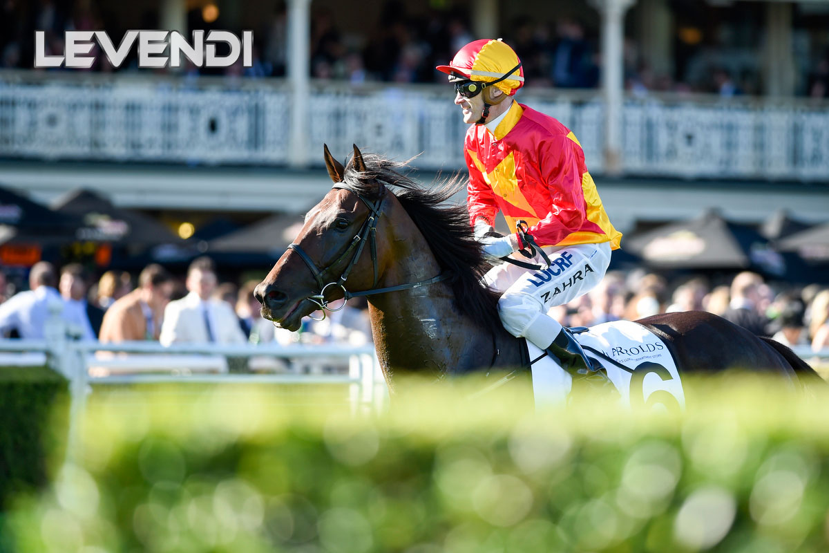 Gallery – Magnum Park | Levendi